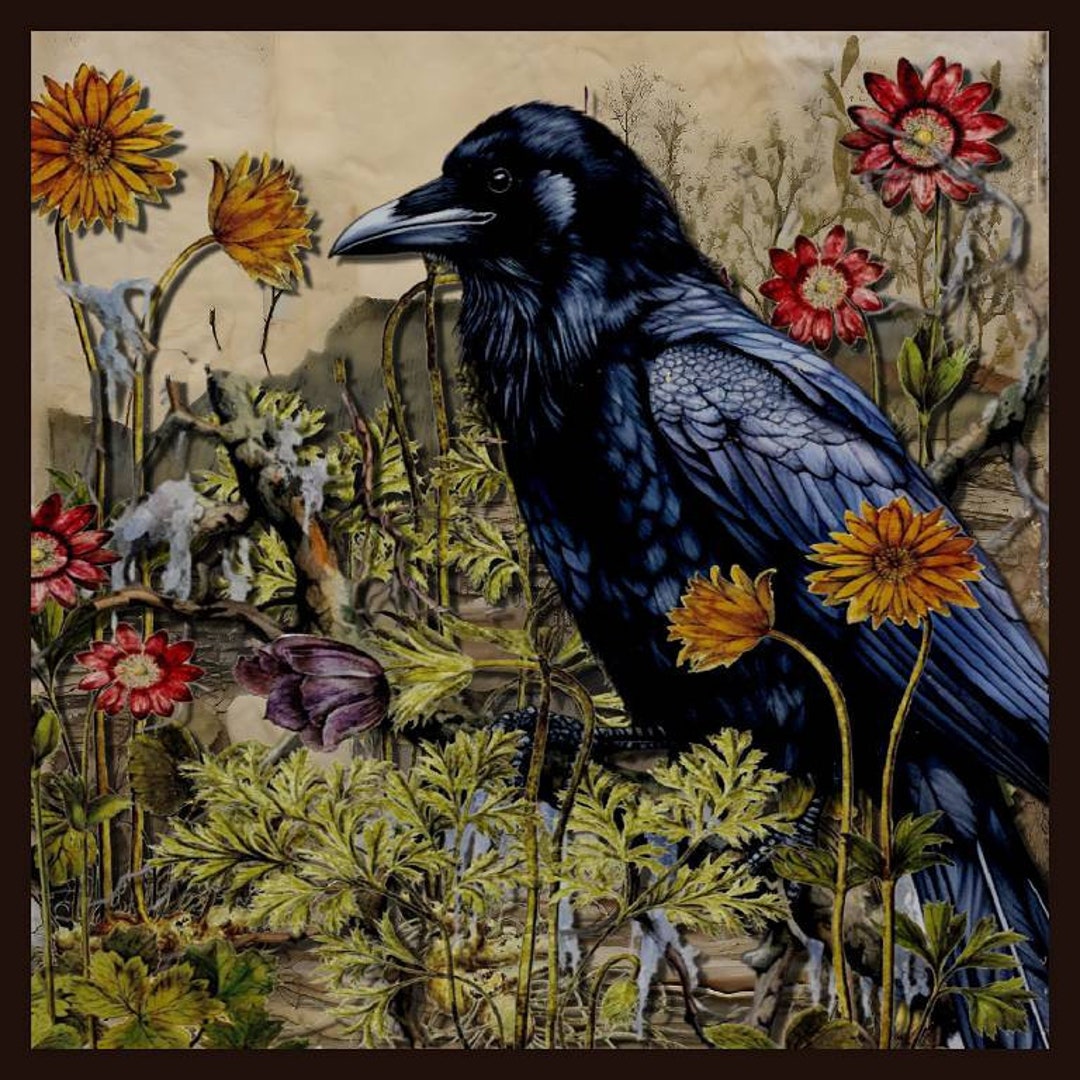 413. Grunge Crow and Flowers Organic Cotton Sateen Fabric Swatch (8x8 ...