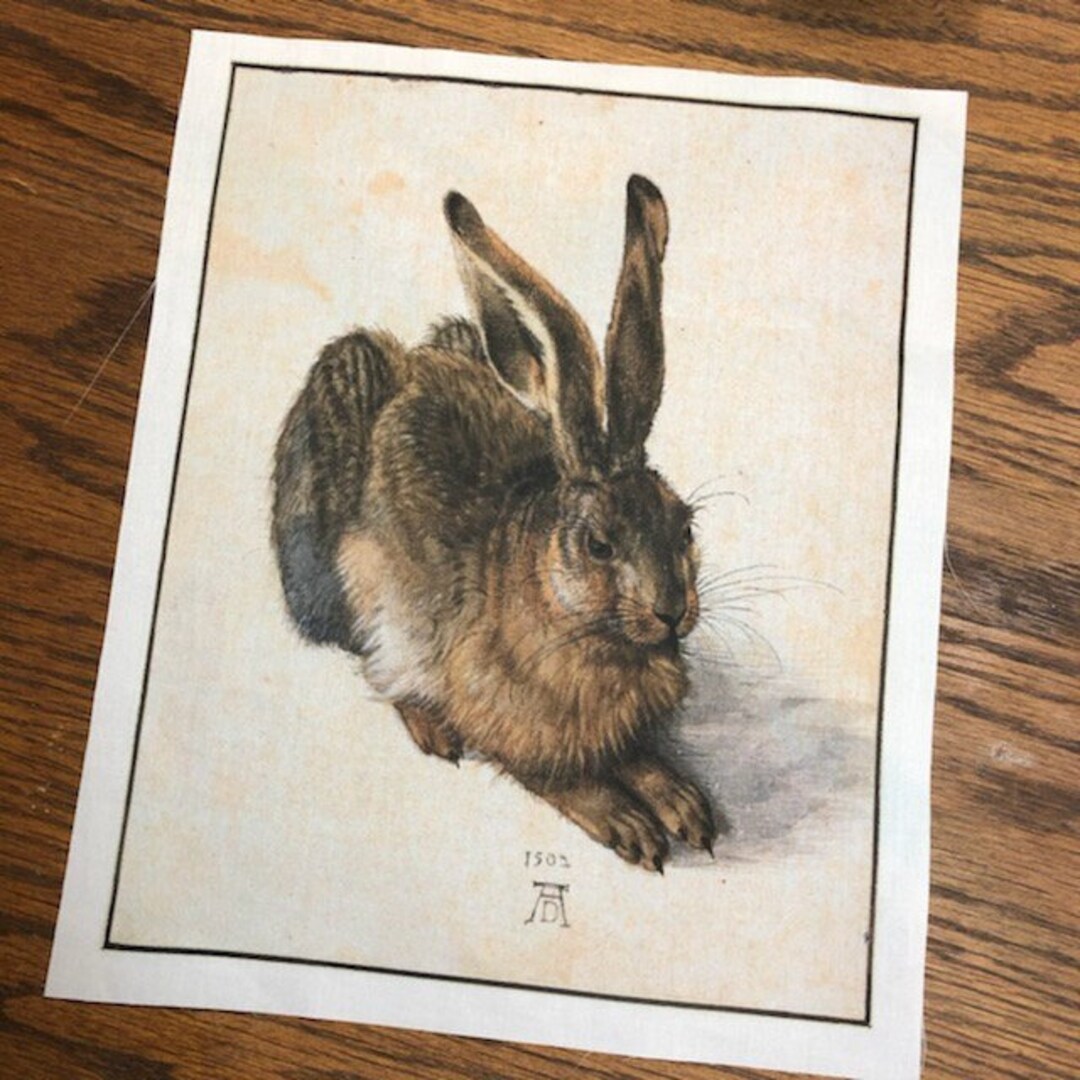 Albrecht Dürer Rabbit Print on Organic Cotton Sateen (8x10 Inches ...