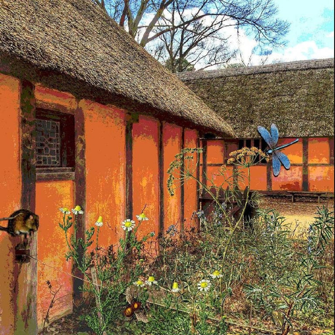 123. Temperance Flowerdew's Jamestown Herb Garden Mice Dragonfly Fungi ...