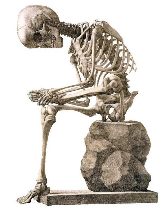 179. Crazy Quilt COTTON Swatch Skeleton Fantasy Halloween Goth - Etsy