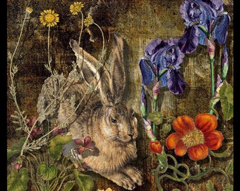 409. 10 X 10 Inch Rabbit Forest Lore Organic Cotton Sateen Swatch Brown ...