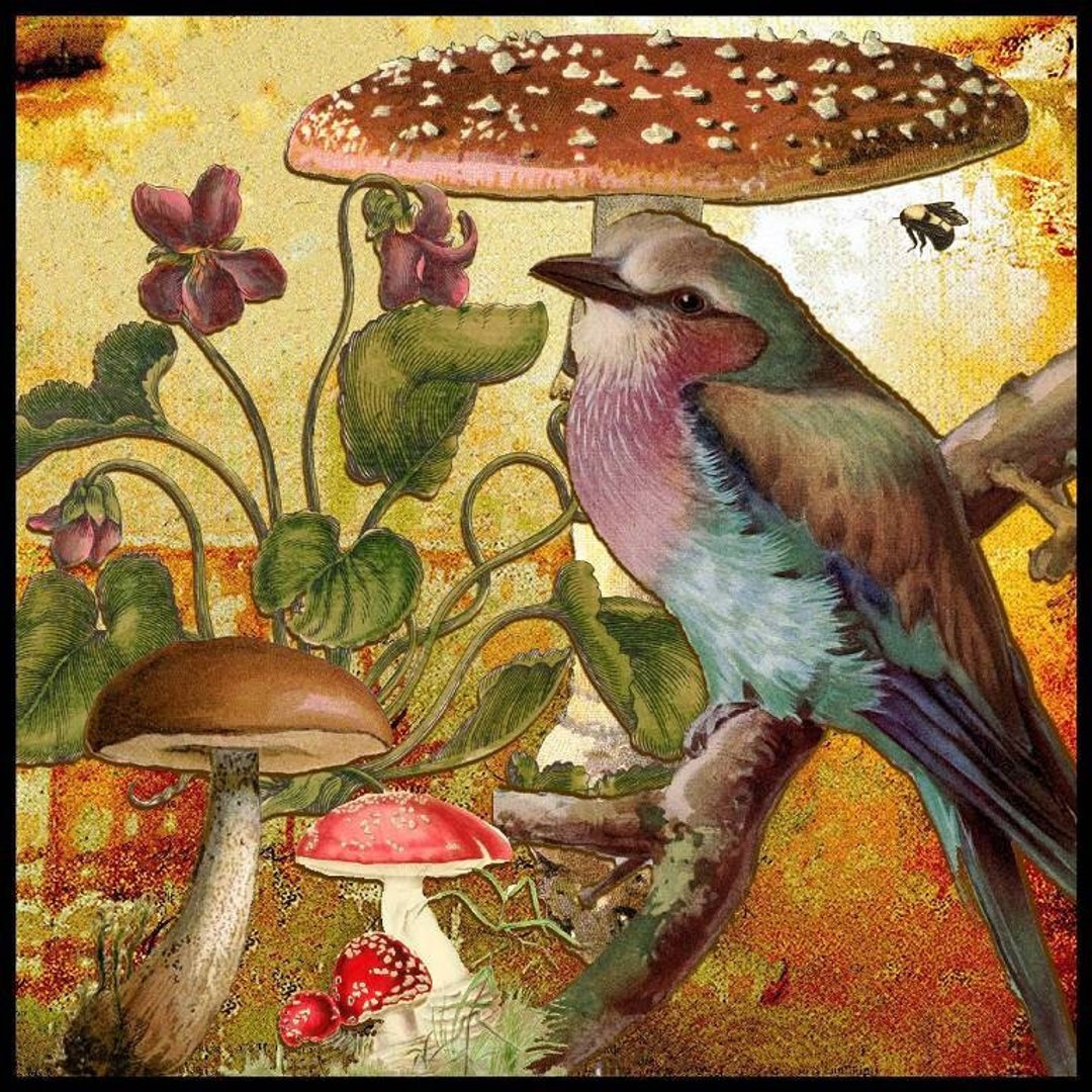 9. Toadstool Bird Fabric Swatch: Organic Cotton Sateen, Pink Teal Green ...