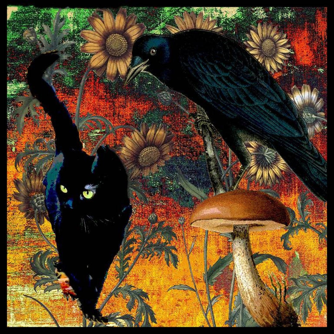 44. Halloween Black Cat Raven Fabric Swatch: Organic Cotton Sateen ...