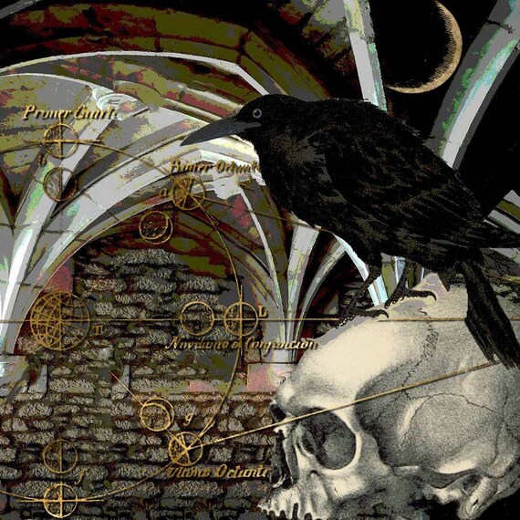 233. Alchemy and Crows Fabric Swatch Yellow Black Rust Red - Etsy