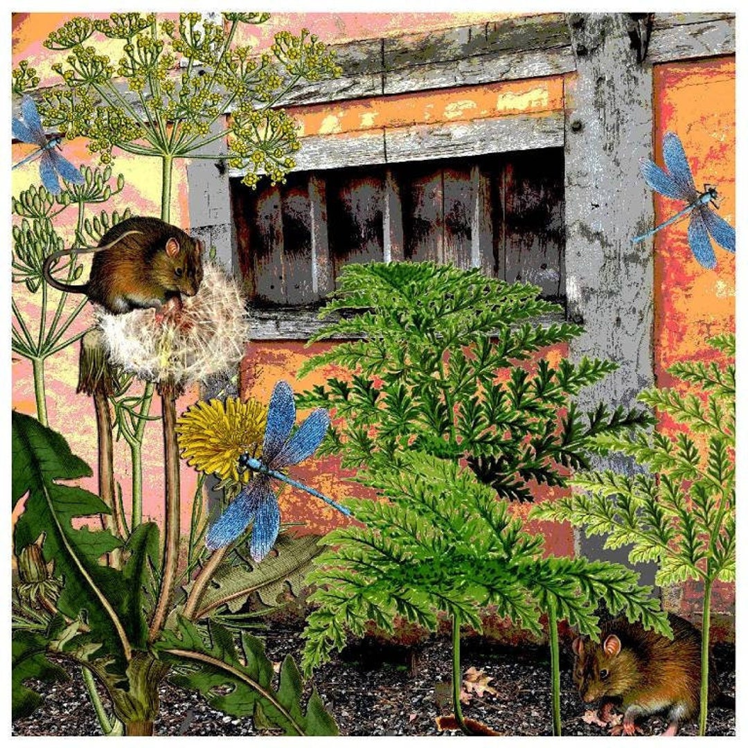 92. Temperance Flowerdew's Jamestown Herb Garden Dandelion Mice ...