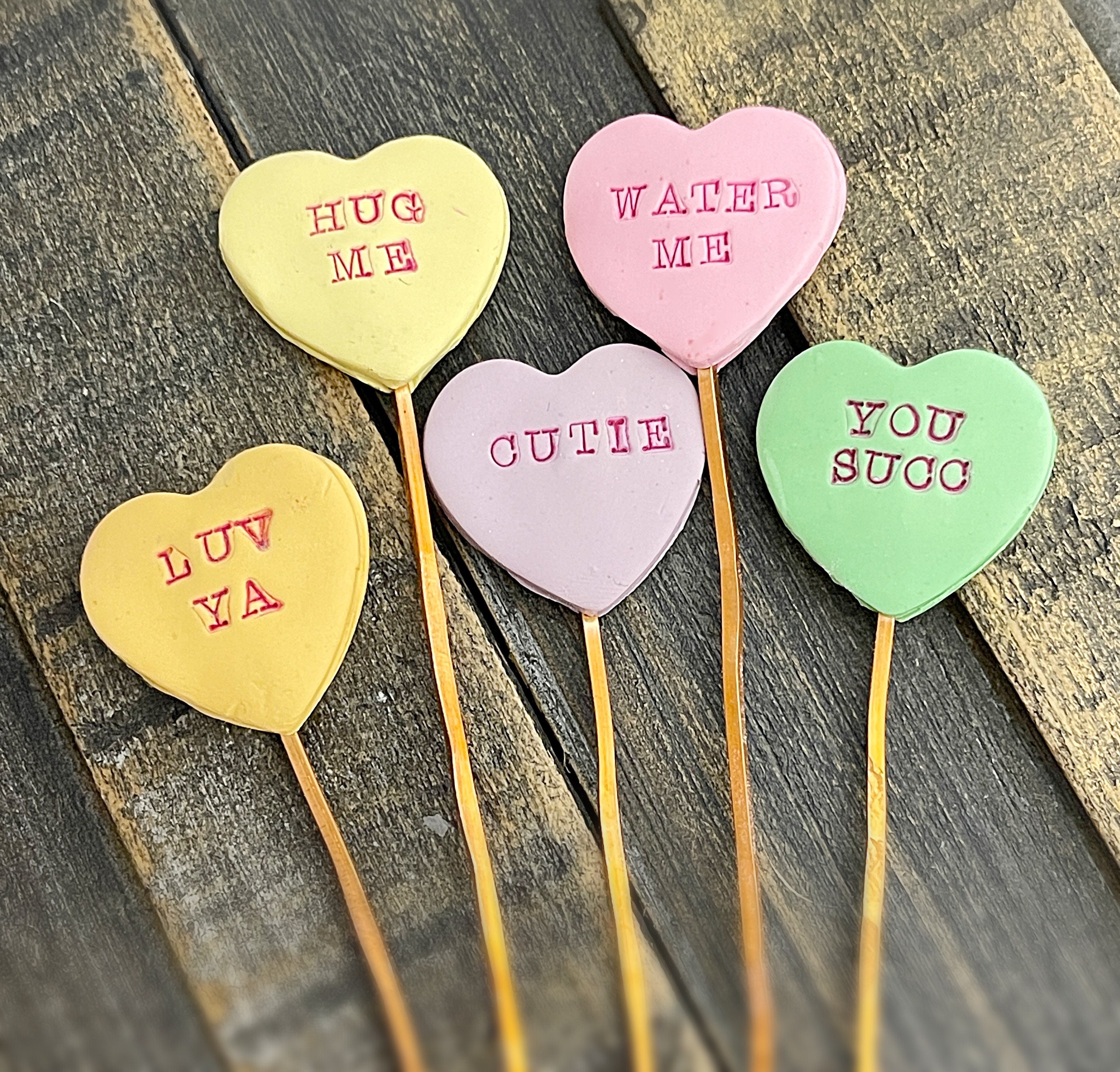 Valentine’s Day Gift for Plant Lover, Gardener, Cute Funny Valentine ...