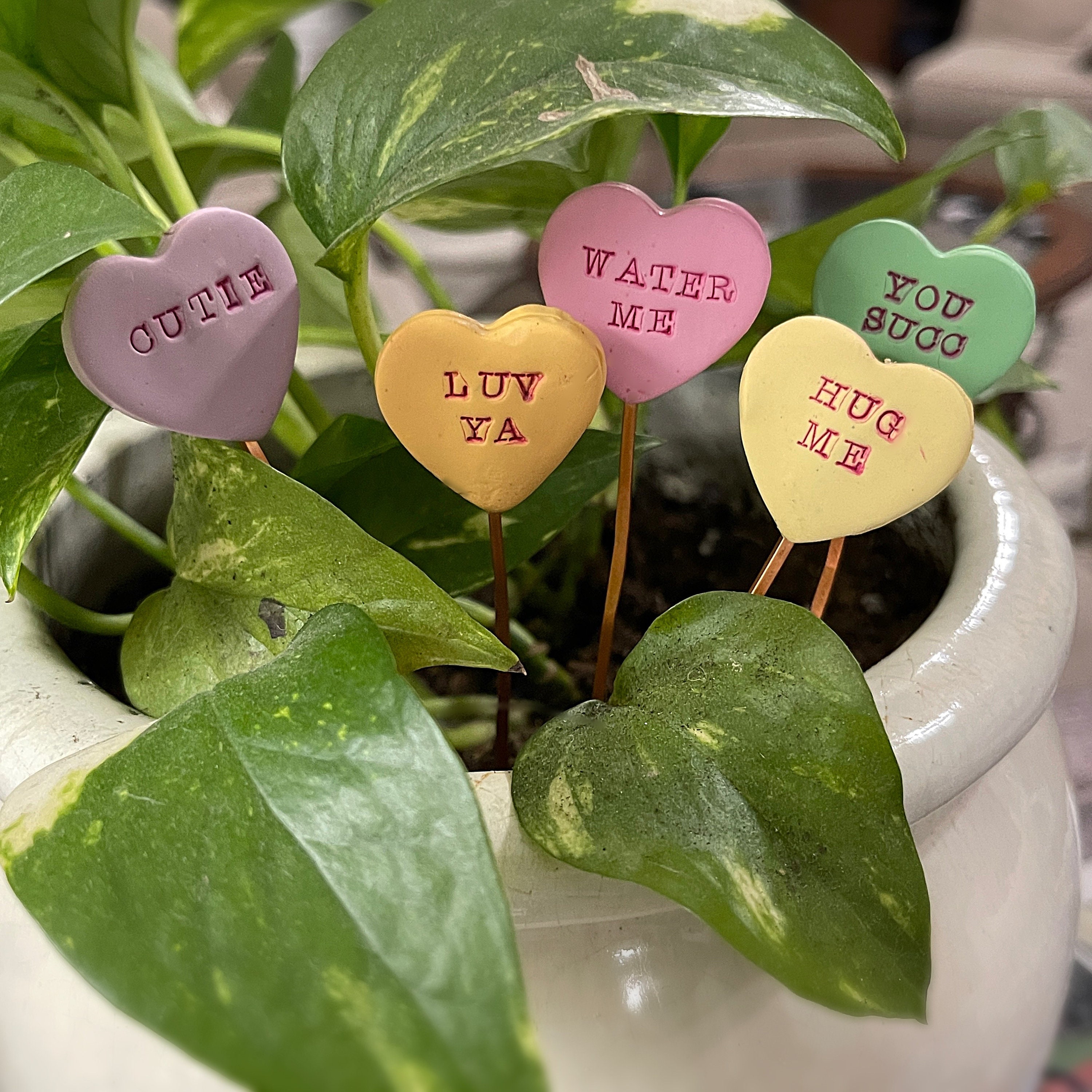 Valentine’s Day Gift for Plant Lover, Gardener, Cute Funny Valentine ...