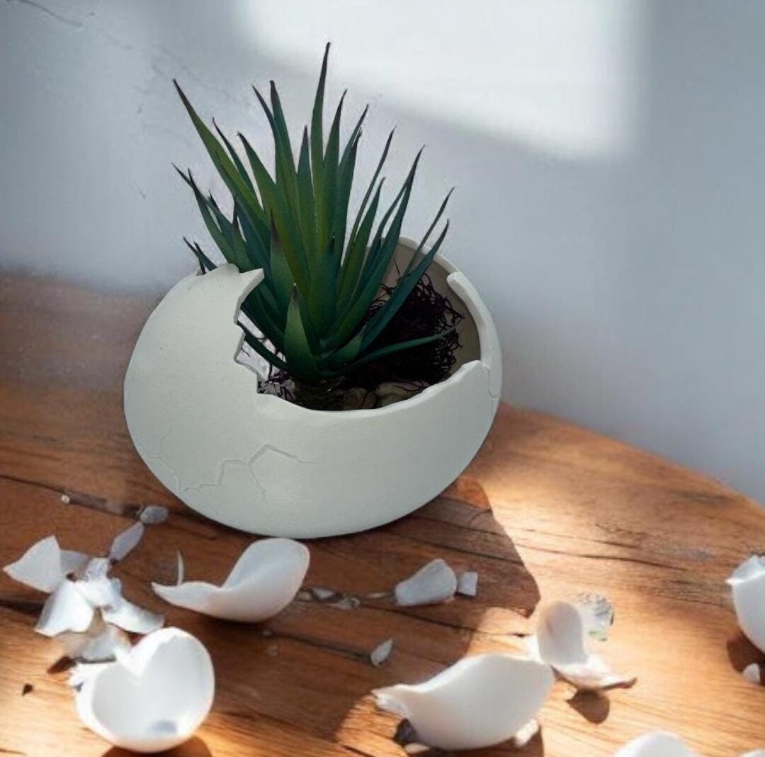 Eggshell Planter | Modern Succulent Pot | Available in Multiple Colors ...