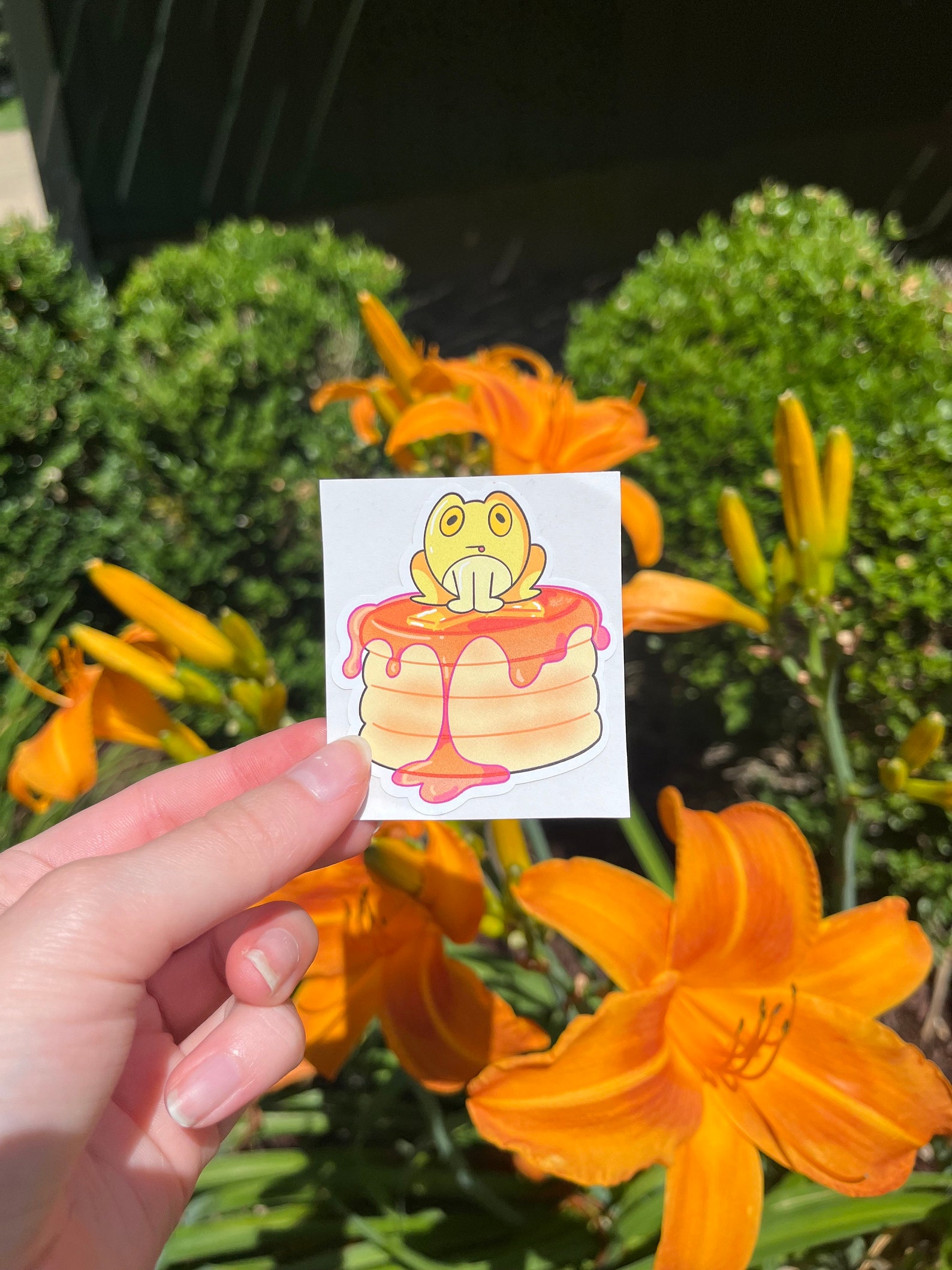 Cute Aesthetic Pancake Frog Vinyl Sticker - Etsy