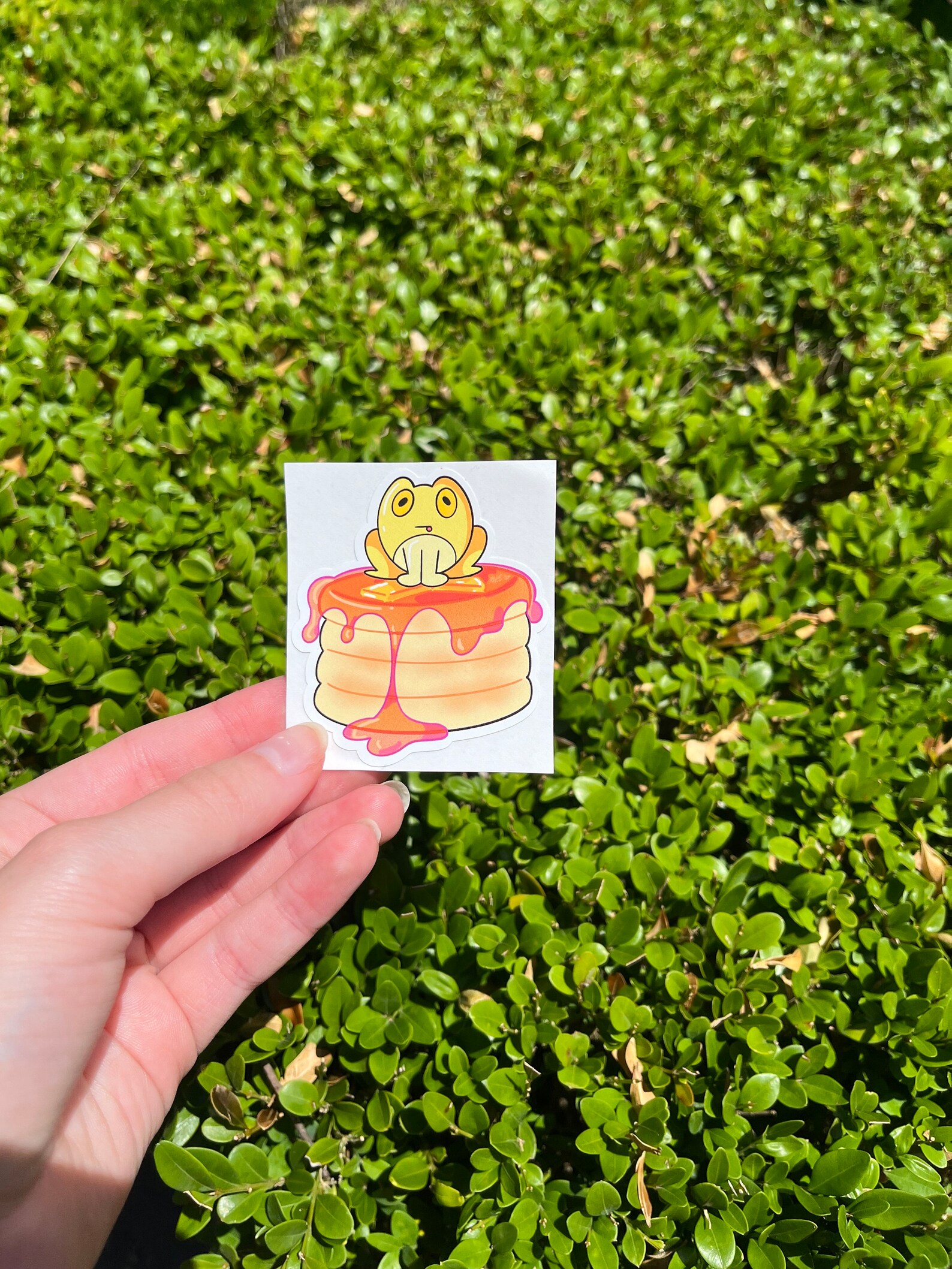 Cute Aesthetic Pancake Frog Vinyl Sticker - Etsy