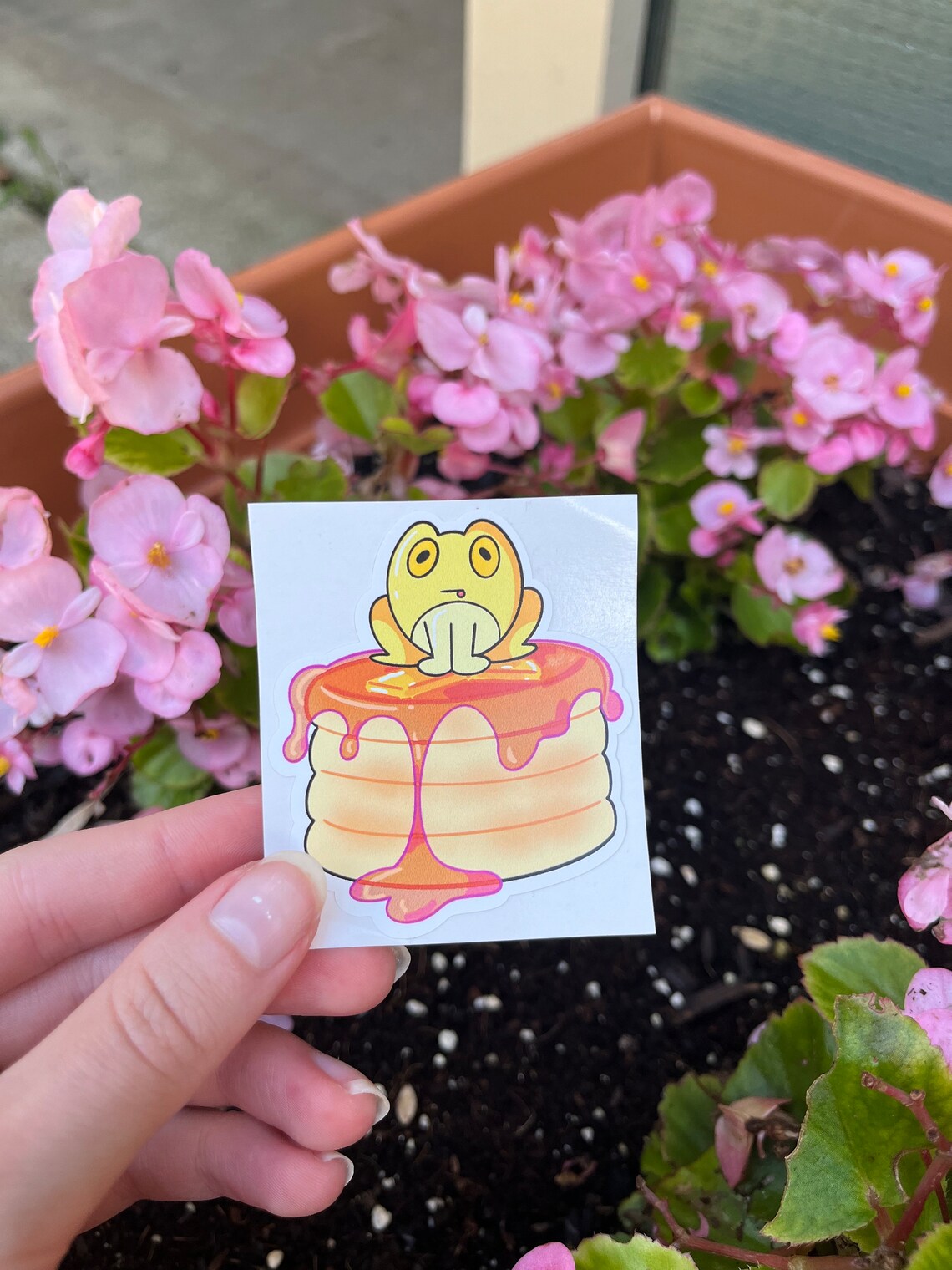 Cute Aesthetic Pancake Frog Vinyl Sticker - Etsy