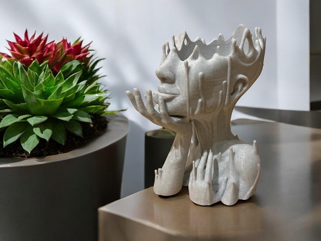 Abstract Face Sculpture Planter Modern Ceramic Art Pot for Indoor ...