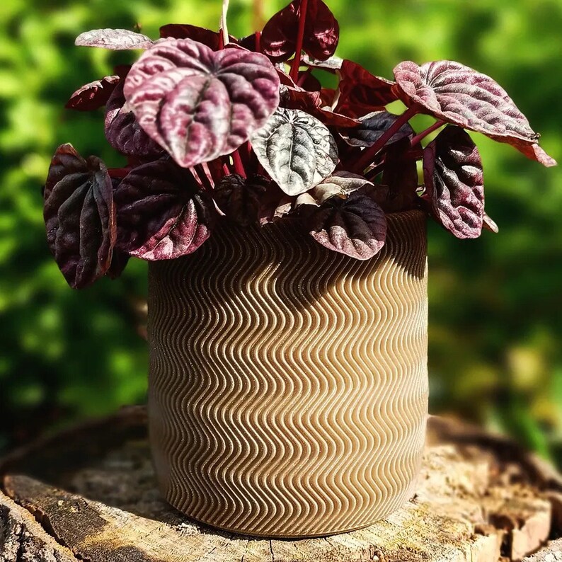 Modern Wavy Pattern Planters Plant Pots With Drainage System Indoor ...