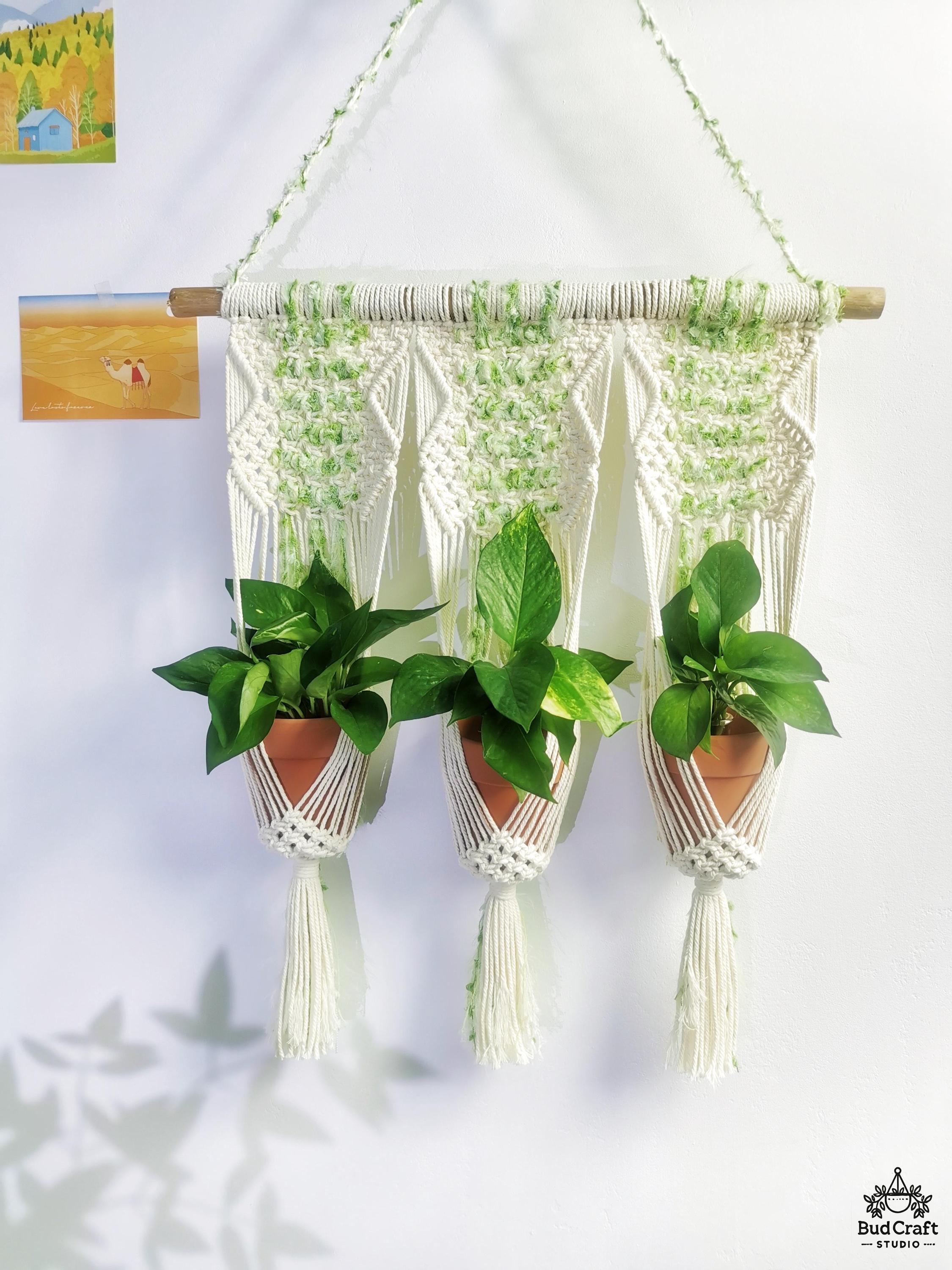 Triple Plant Hanger for Small Pots, Hanging Pot for Plants, Colorful ...
