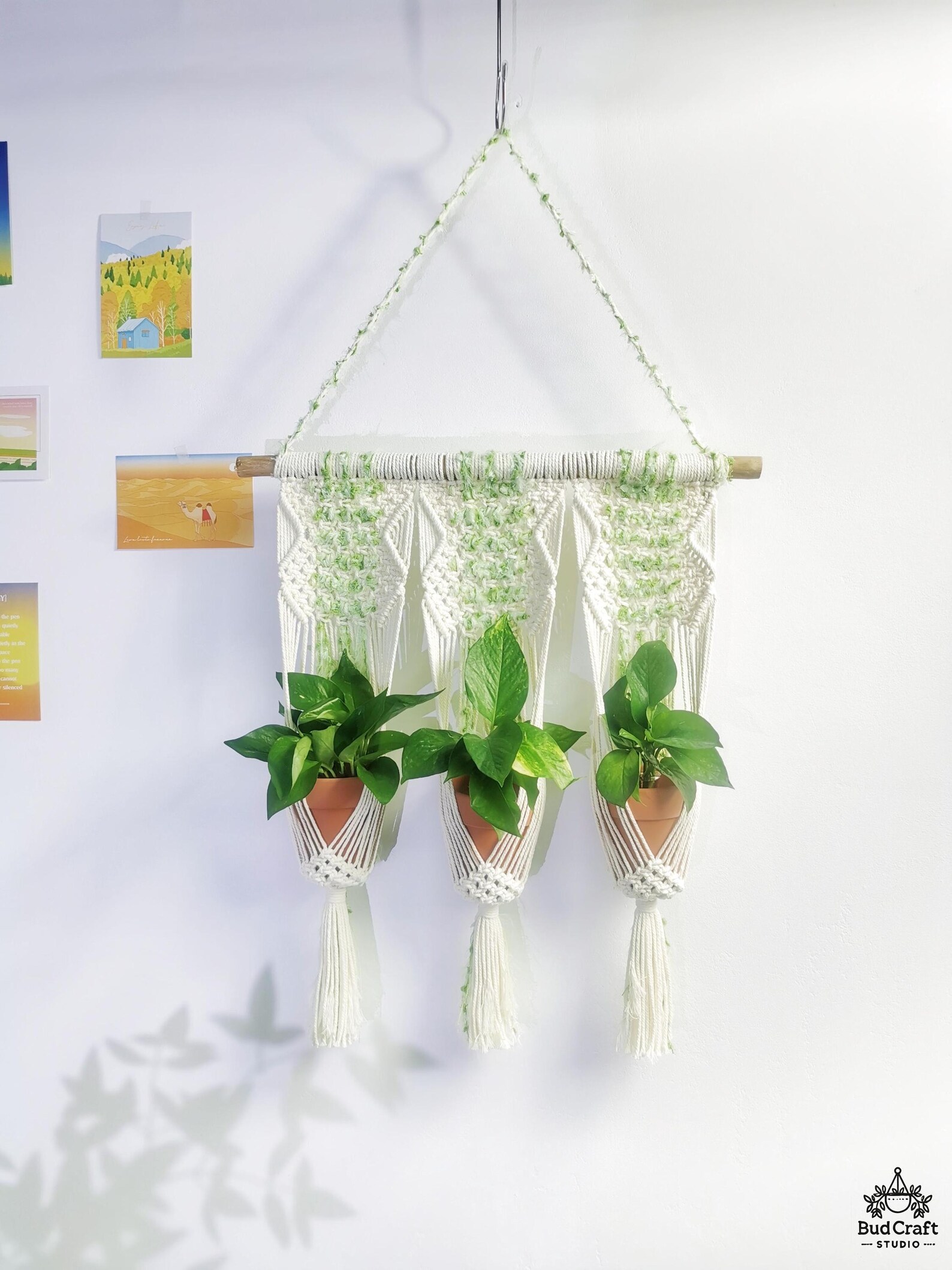 Triple Plant Hanger for Small Pots, Hanging Pot for Plants, Colorful ...