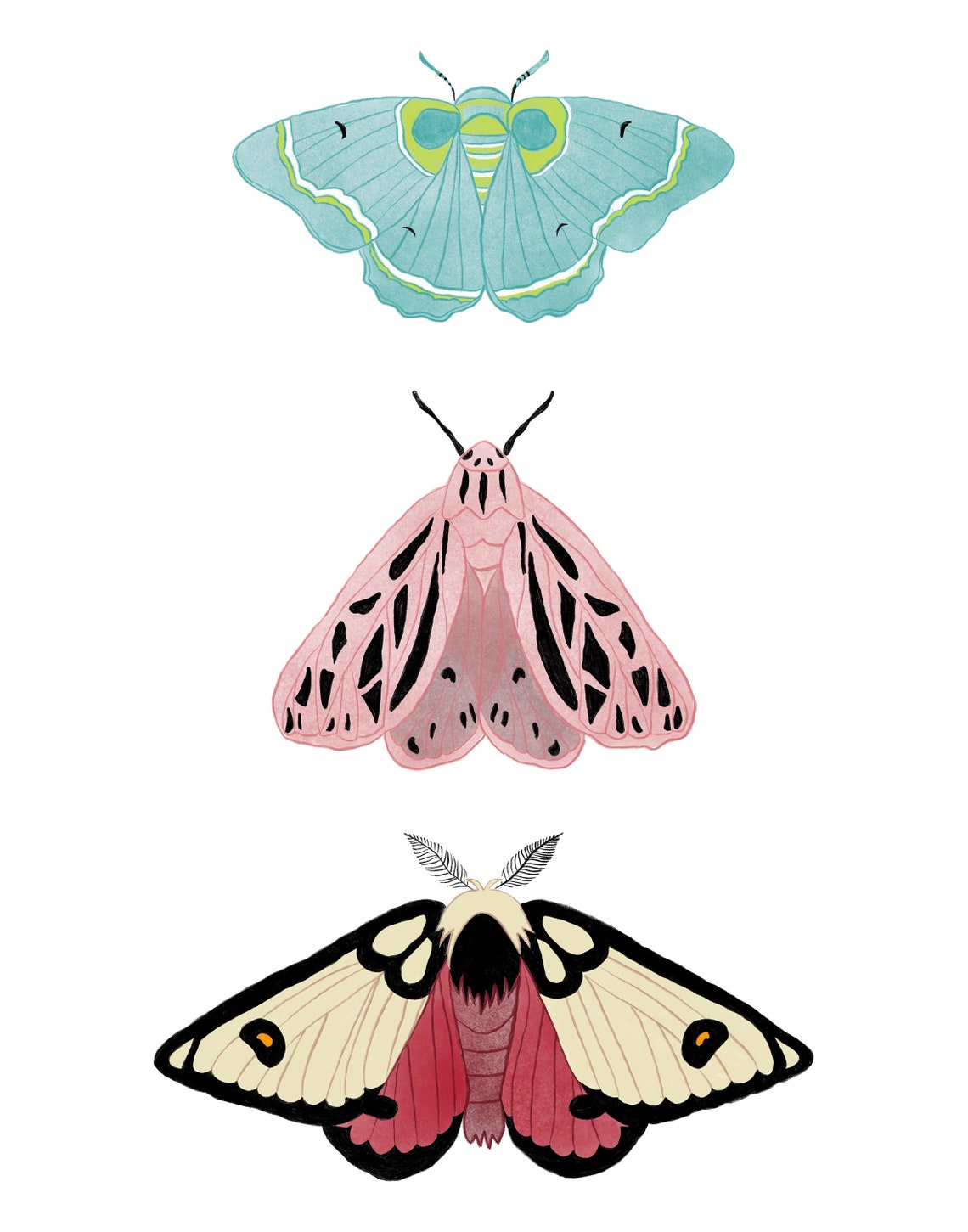 Colorful Moth Minimal Prints Printable Digital Art Minimal Wall Art ...