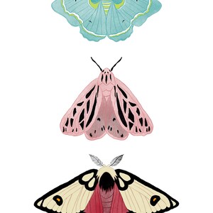 Colorful Moth Minimal Prints Printable Digital Art Minimal Wall Art ...