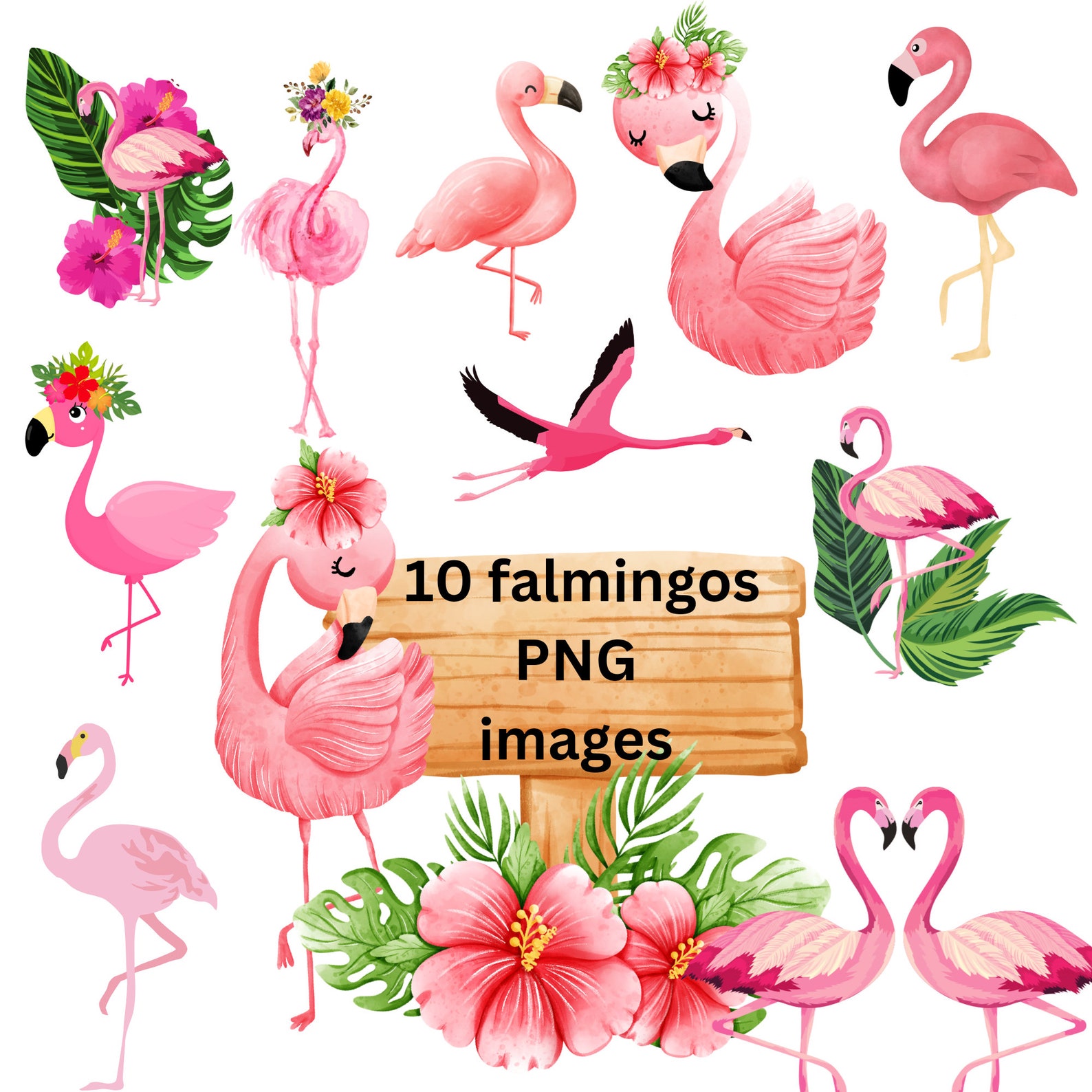 Flamingo Clipart Cute Flamingo PNG Bird Clipart Cute Animal PNG Cartoon ...
