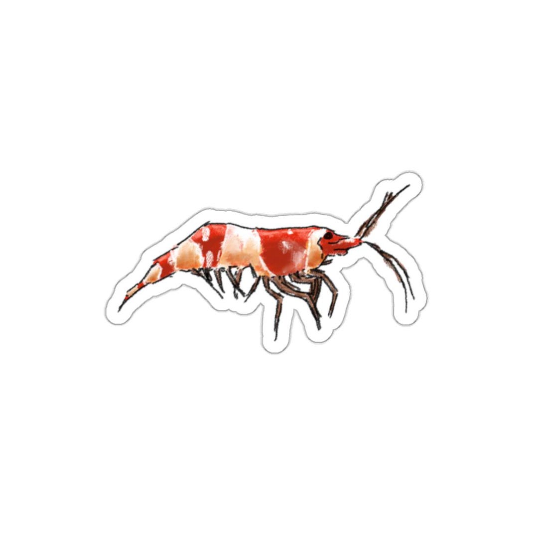 Crystal Red Shrimp Sketch Stickers, Marine Life Decals, Aquarium Decor ...