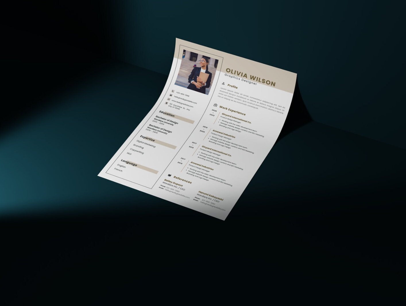 Minimalistic Aesthetic Professional CV Template - Etsy