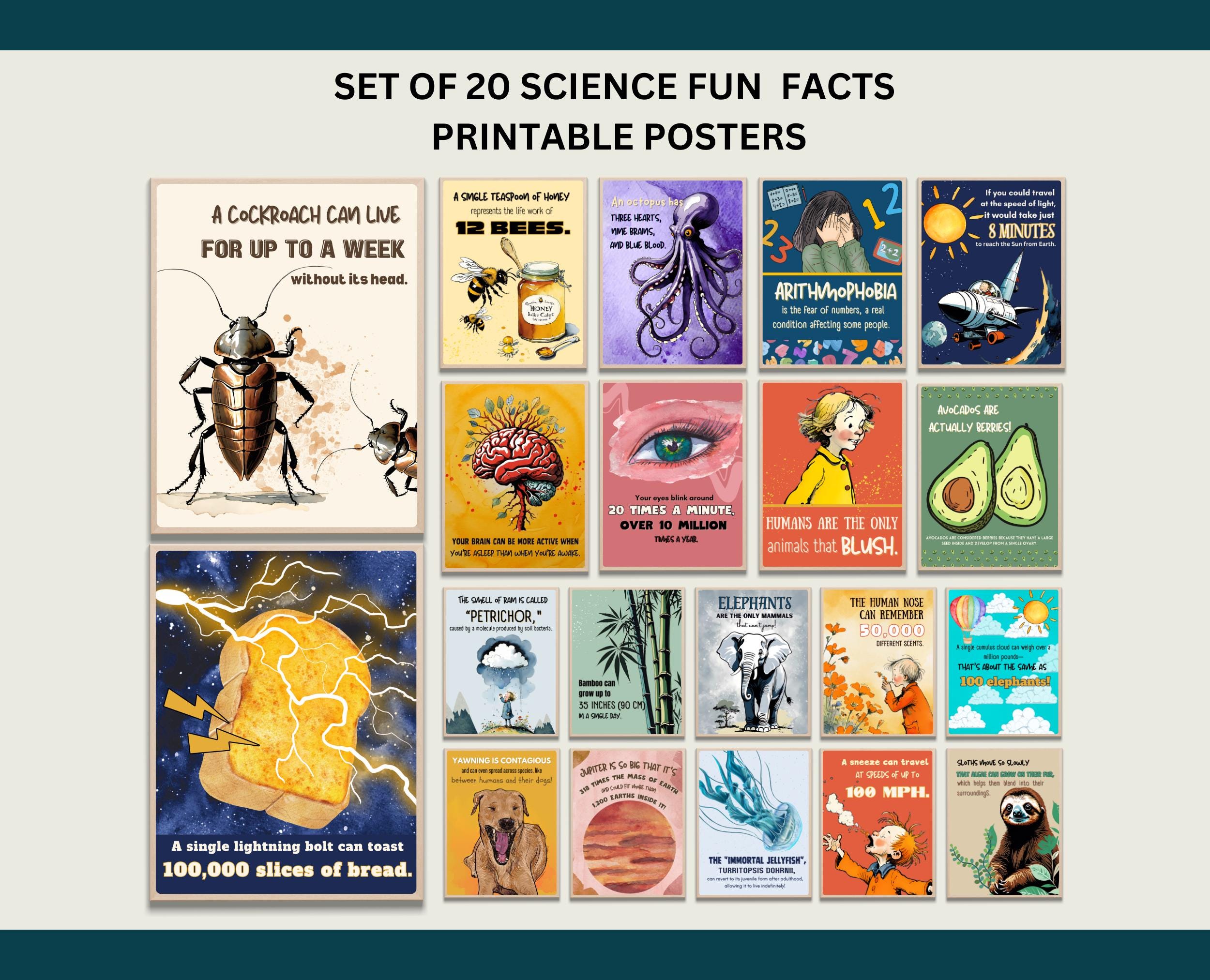Set of 20 Printable Fun Fact & Funny Posters for Classroom Decoration ...