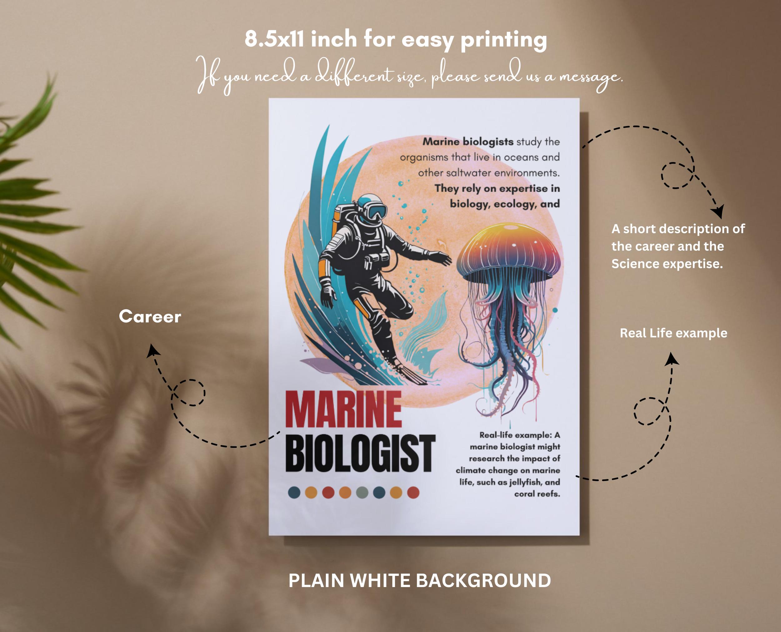 Set of 15 Printable STEM STEAM Science Career Posters for Classroom ...