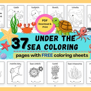 37 Printable Coloring Pages Sea Creatures Kids Under the Sea Coloring ...