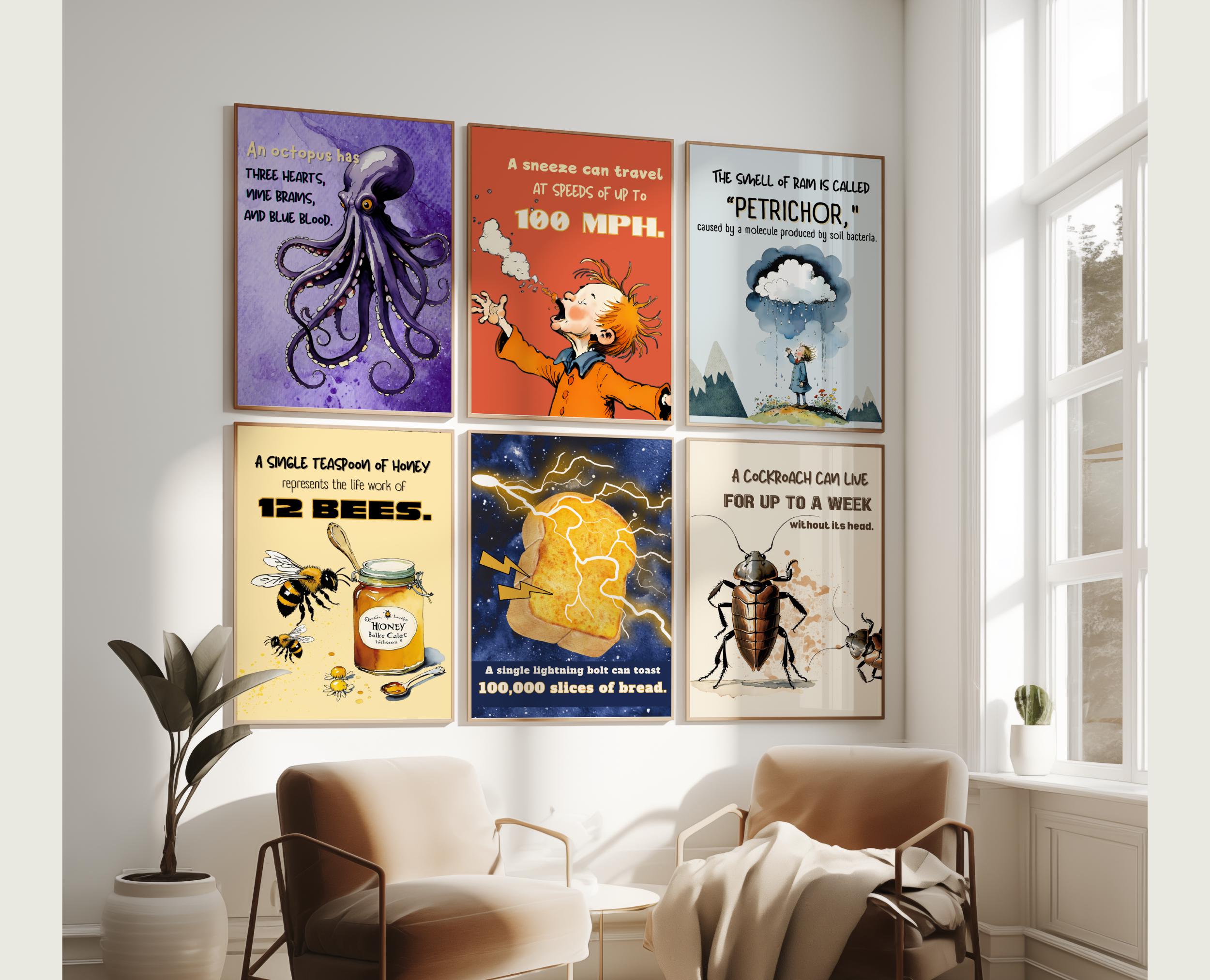 Set of 20 Printable Fun Fact & Funny Posters for Classroom Decoration ...