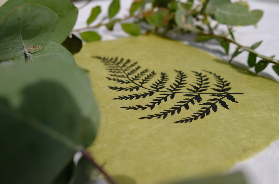 Fern Linoprint . Handmade Linocut Print Featuring Forest Fern ...