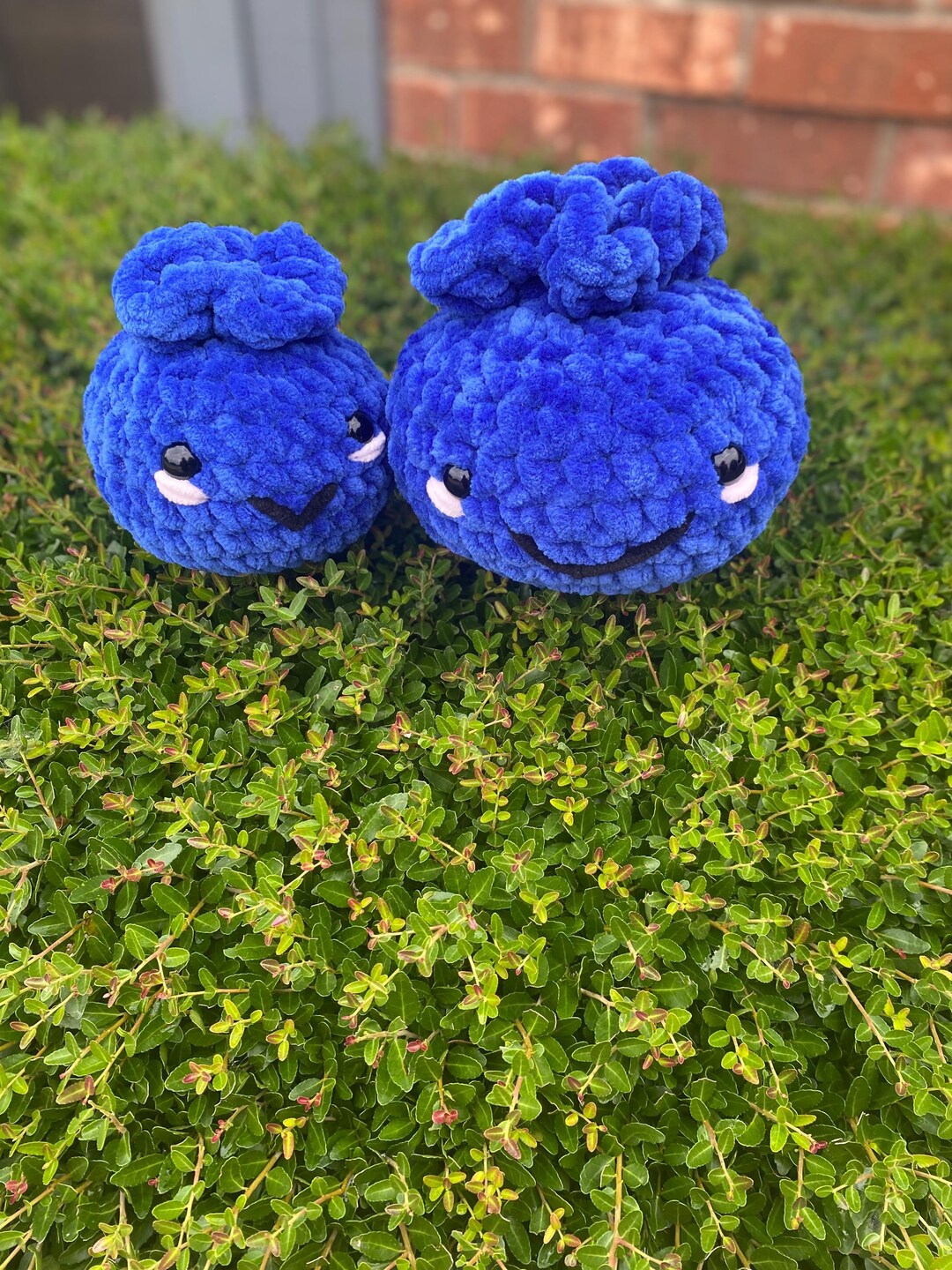 Blueberry Bundle - Etsy