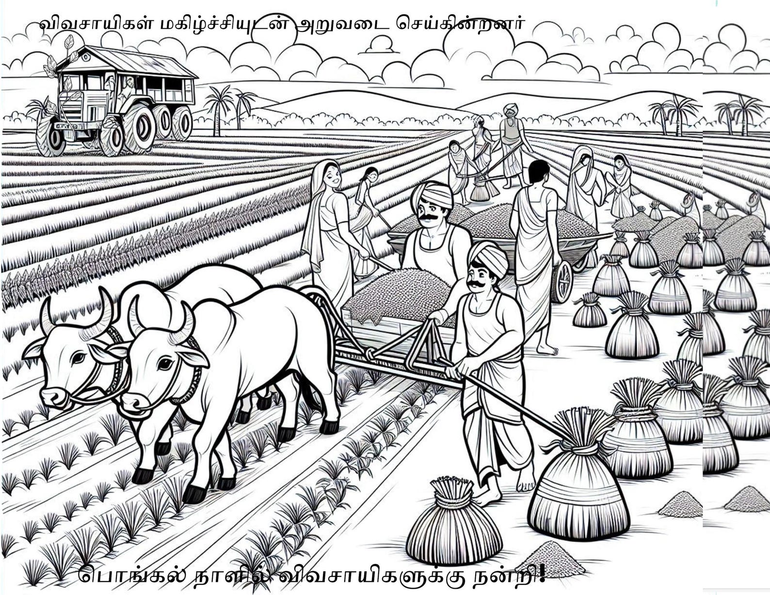 10 Tamil Pongal Coloring Pages, Pongal Activities, Indian Harvest ...