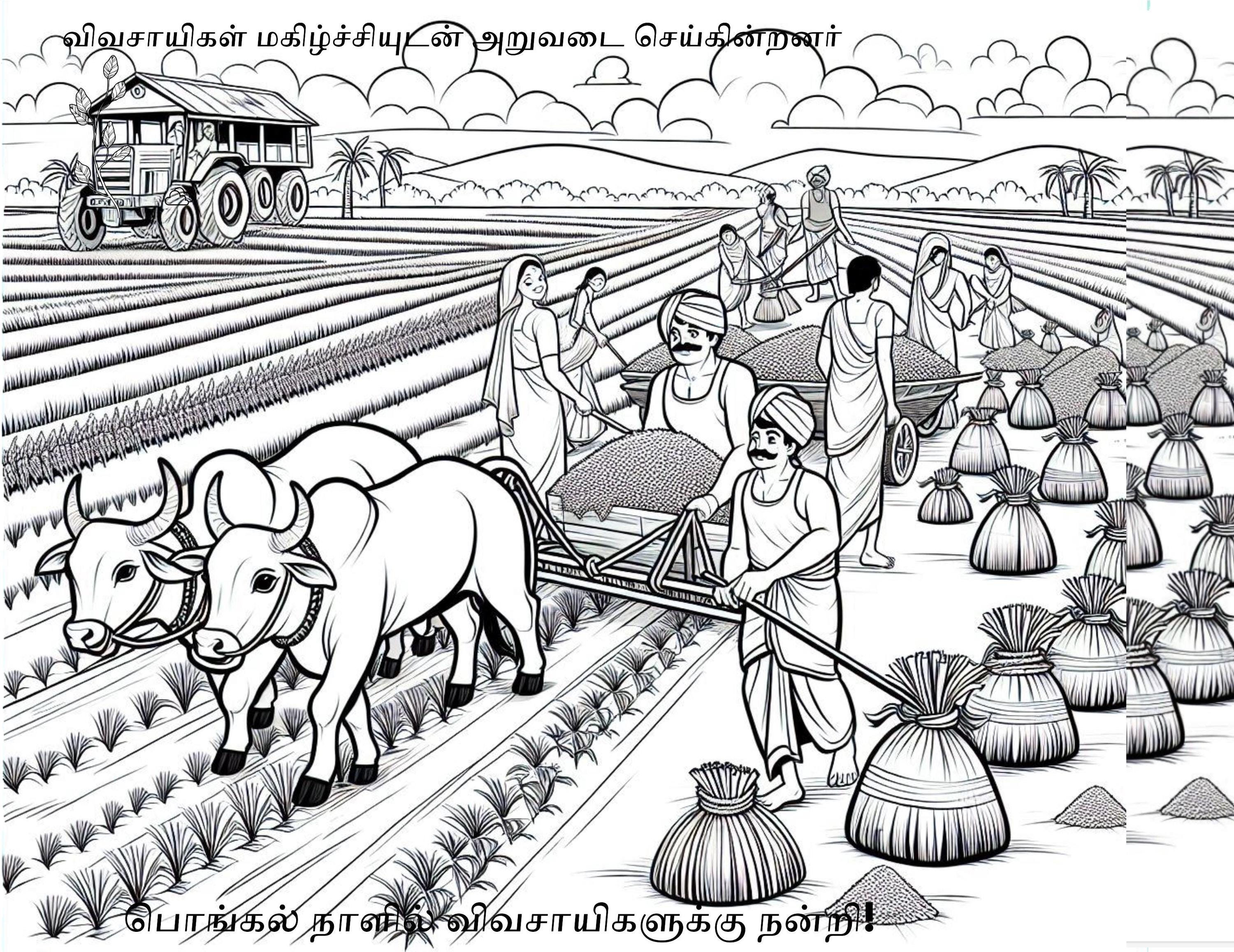 10 Tamil Pongal Coloring Pages, Pongal Activities, Indian Harvest ...