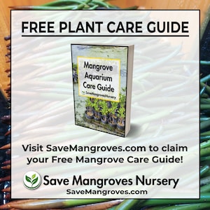 Live Red Mangrove Plants, 7 Plant Bundle Starter Kit Aquarium Mangrove ...