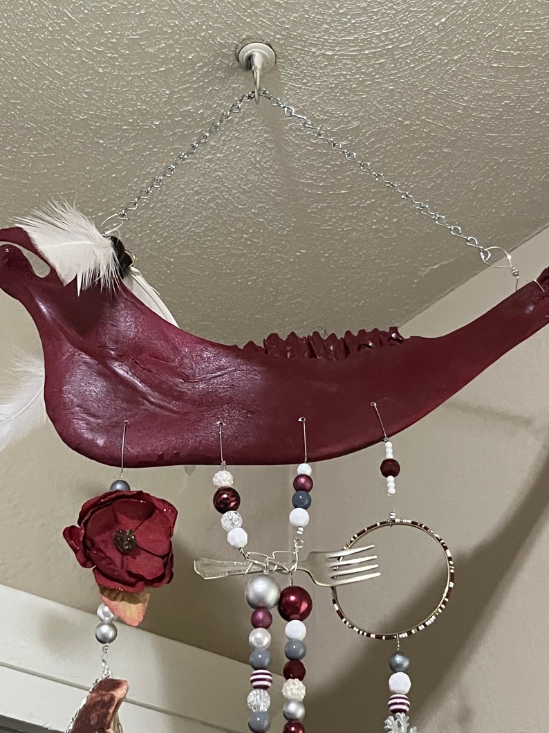 Cow Jaw Bone Decor, Taxidermist Decor, Southern Home, Western Home ...