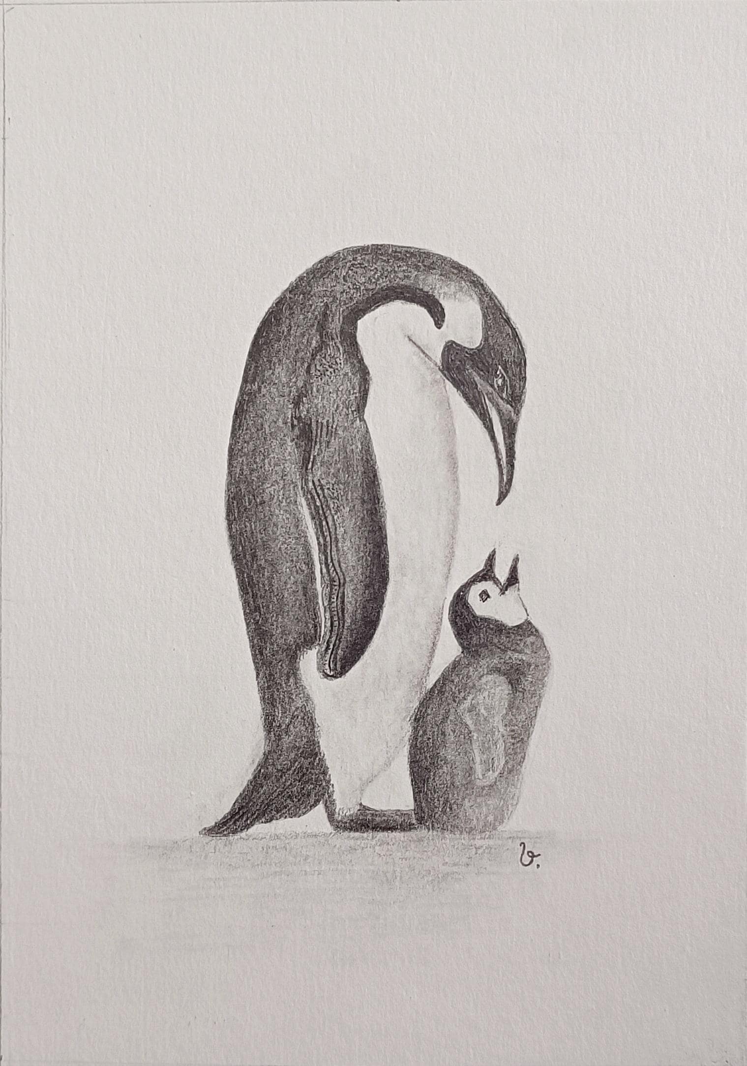 Dibujos A Lapiz De Animales