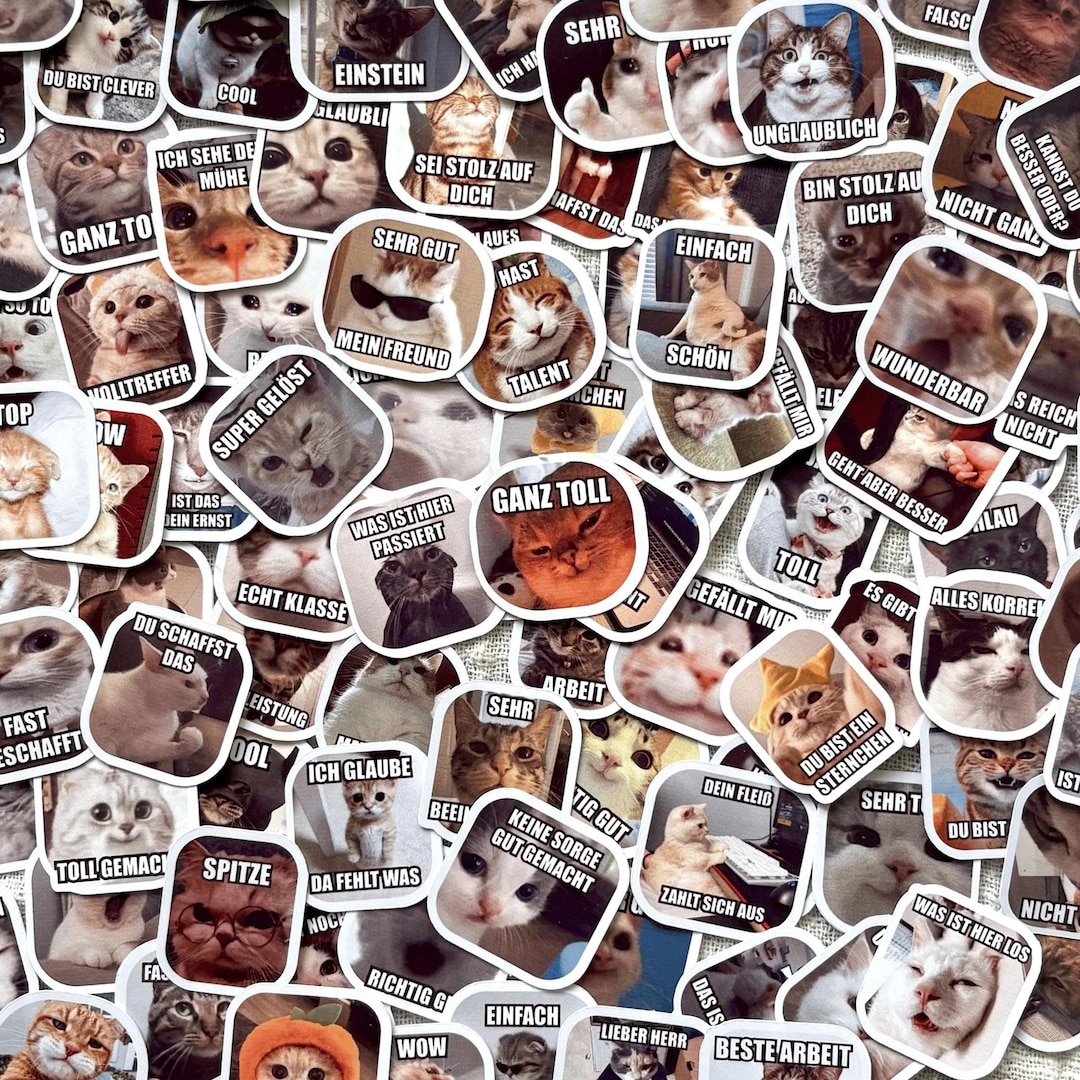 Random DEUTSCH Katzen Memes Pieces | German Version | Teacher Stickers ...