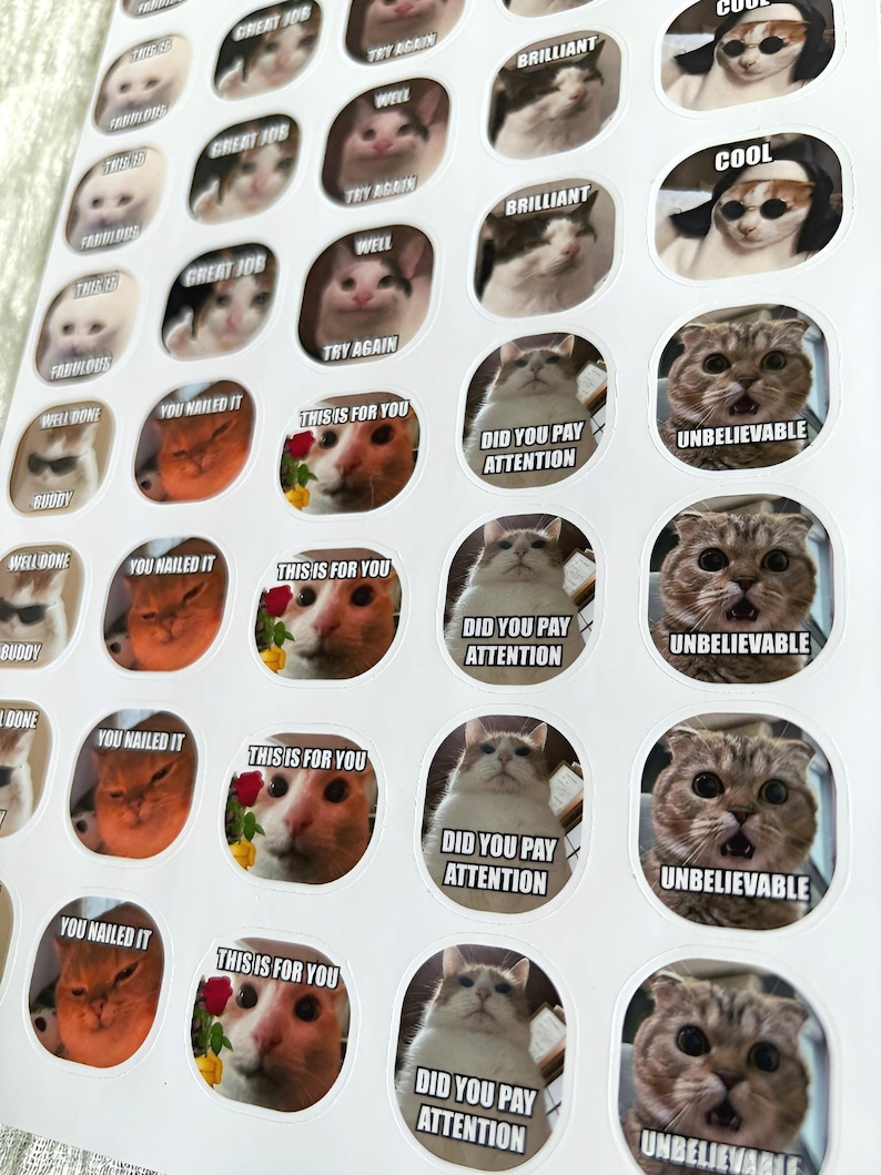 Cat Meme Teacher Stickers | Funny Grading Feedback Set - Etsy