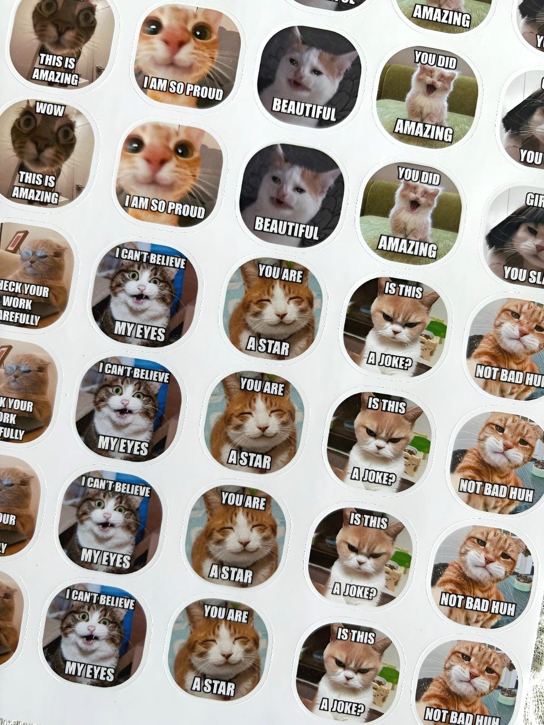 Teacher Cat Meme Stickers | Student Feedback, 40 Pcs - Etsy