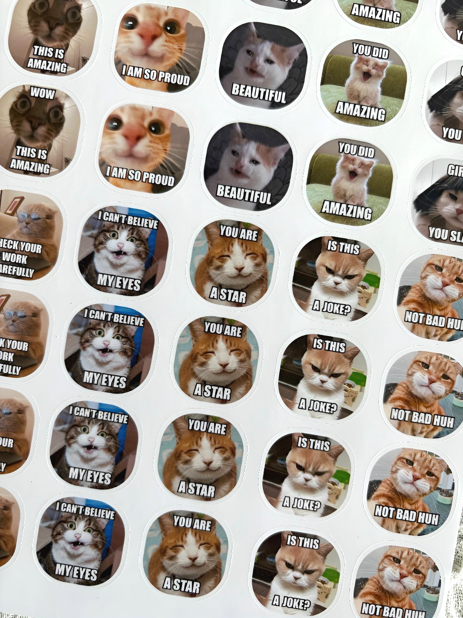 Teacher Cat Meme Stickers | Student Feedback, 40 Pcs - Etsy