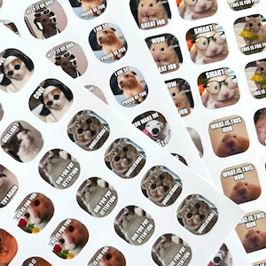 Cat Meme Teacher Stickers | Funny Grading Feedback Set - Etsy