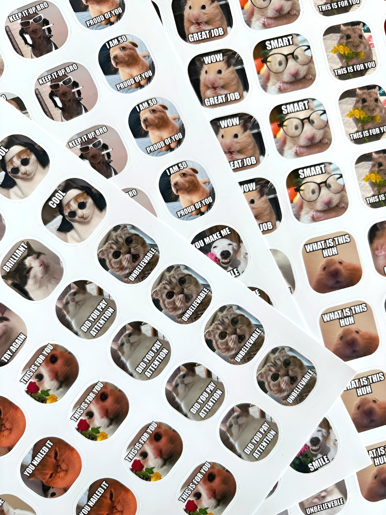 Cat Meme Teacher Stickers | Funny Grading Feedback Set - Etsy