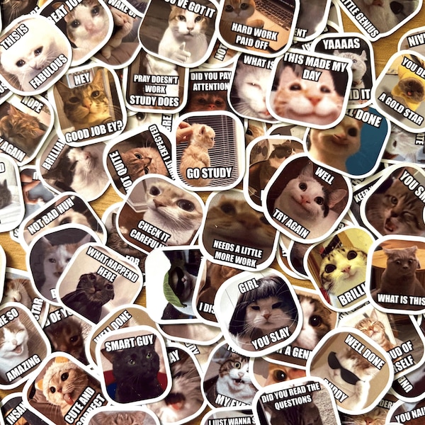 Katzen sticker - Etsy.de