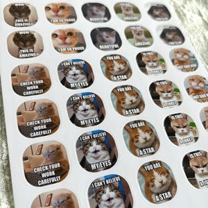 Cat Meme Teacher Stickers | Funny Grading Feedback Set - Etsy