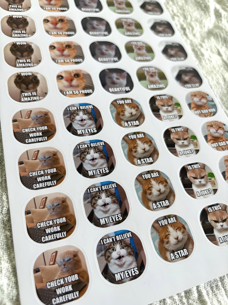 Cat Meme Teacher Stickers | Funny Grading Feedback Set - Etsy