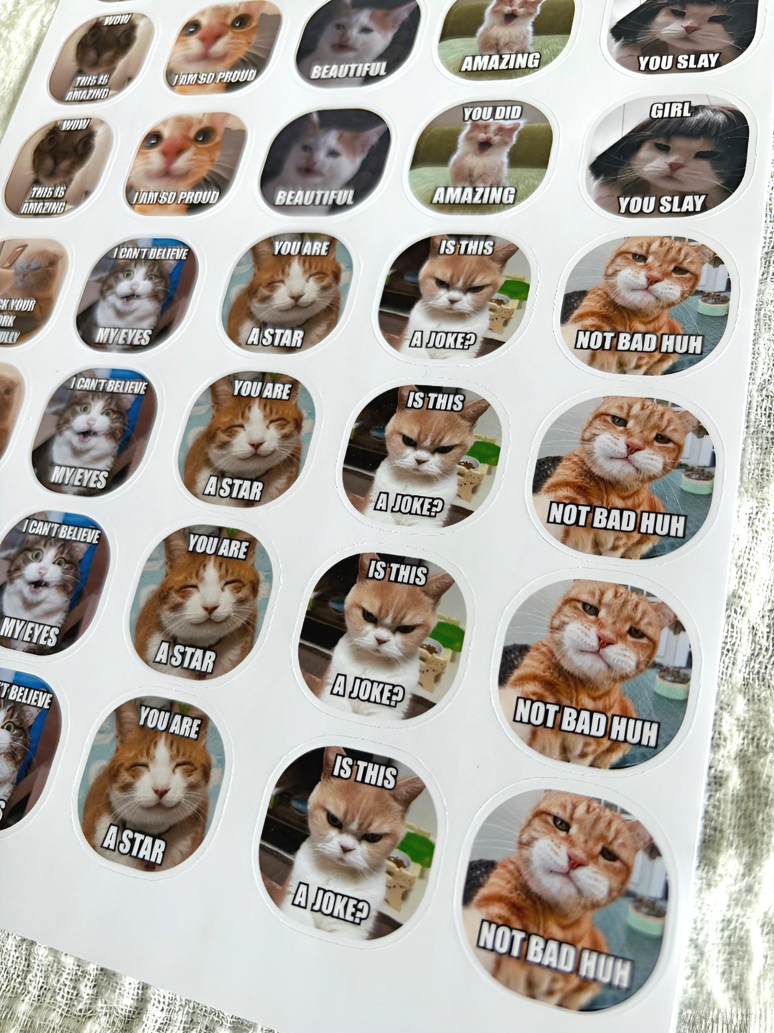 Cat Meme Teacher Stickers | Funny Grading Feedback Set - Etsy