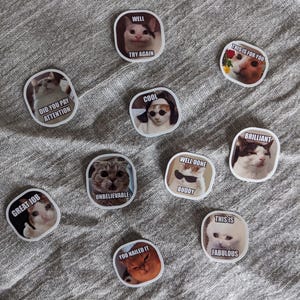 Cat Meme Teacher Stickers | Funny Grading Feedback Set - Etsy