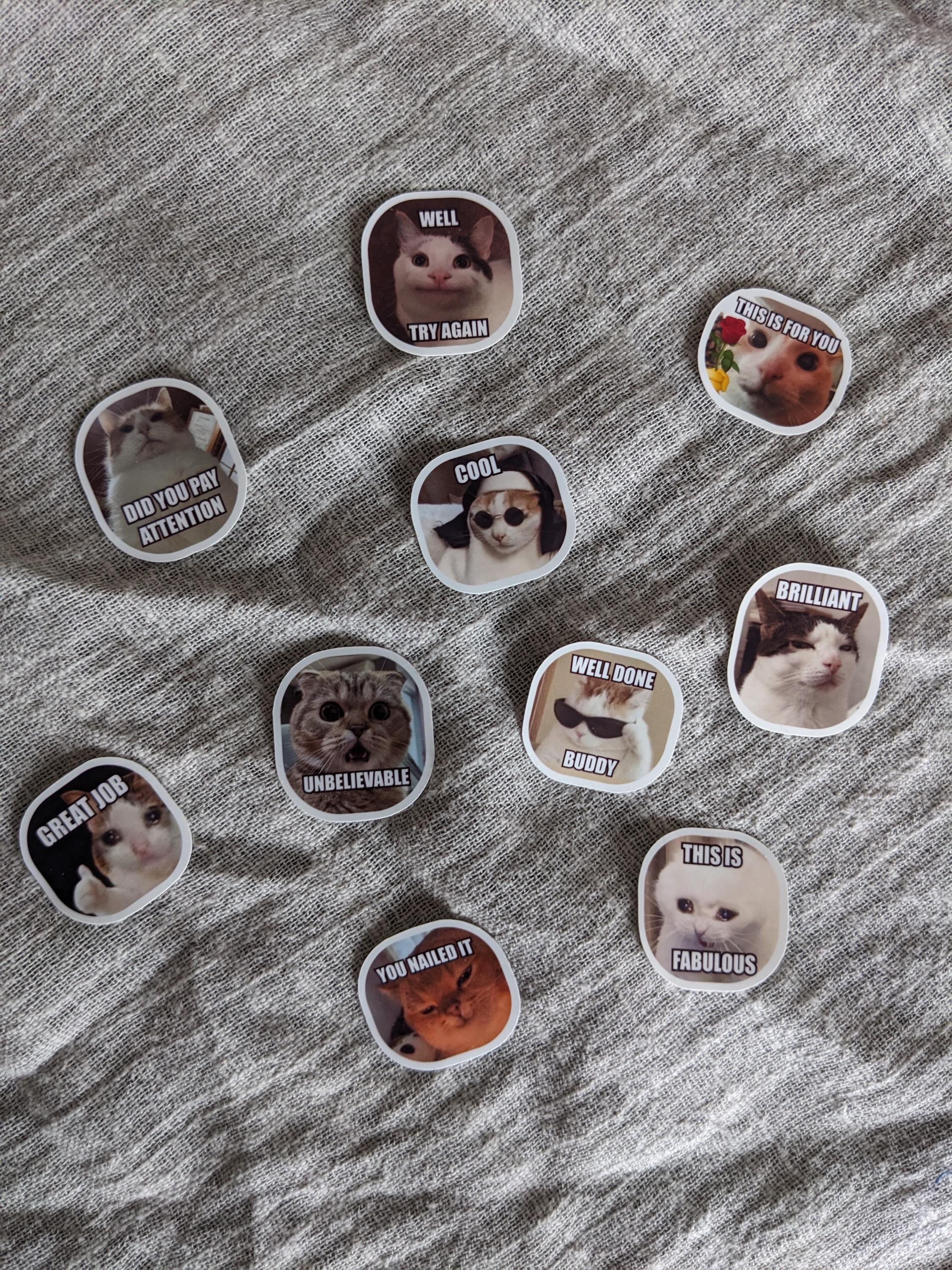 Cat Meme Teacher Stickers | Funny Grading Feedback Set - Etsy