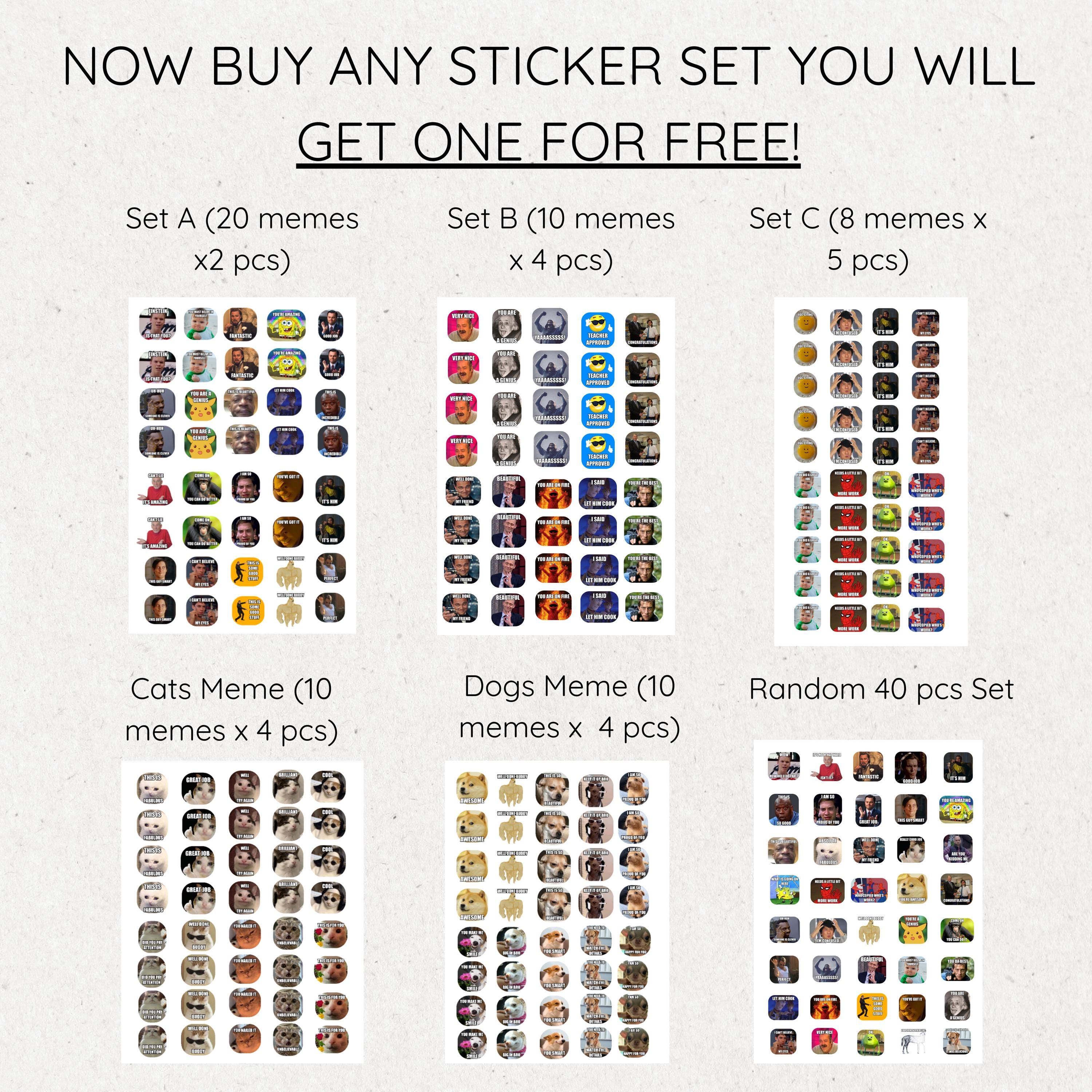 Cat Meme Teacher Stickers | Funny Grading Feedback Set - Etsy