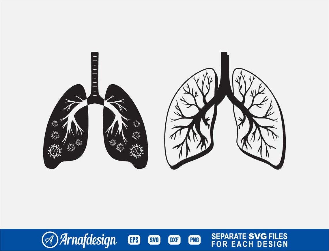 Lung SVG, Medical Image Svg, Human Lung Svg, Bronchial Svg, Clipart ...