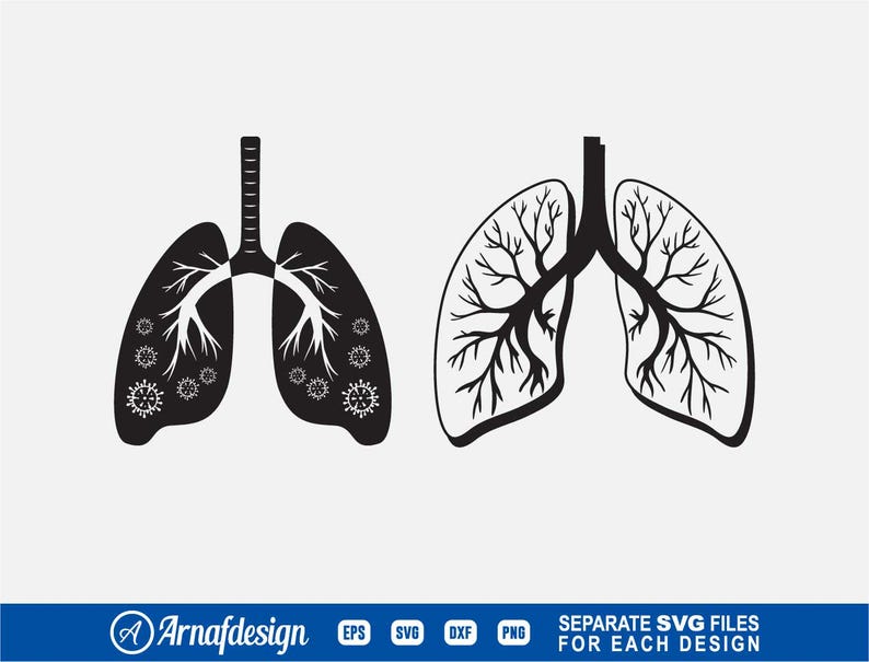 Lung SVG, Medical Image Svg, Human Lung Svg, Bronchial Svg, Clipart ...